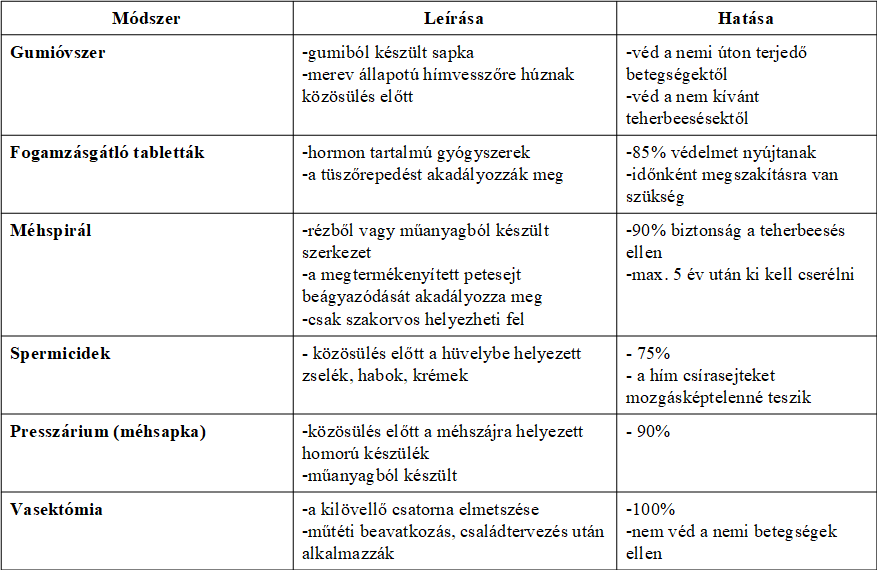 AZ ANATÓMIA VILÁGA